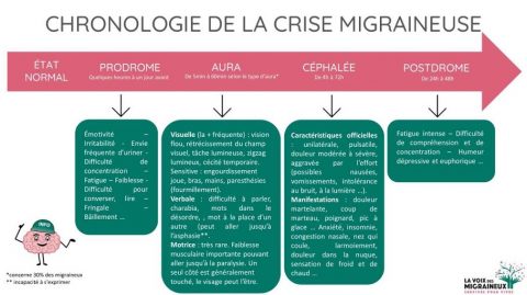 Migraine sans aura - Annuaire de soignants, actualités et bien plus...